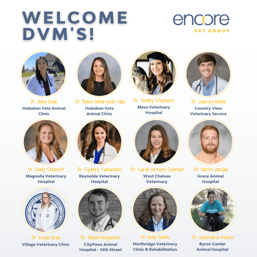 Welcoming DVM's in July and August! | Encore Vet Group