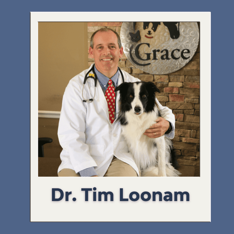 The Mecca for Externships: Grace Animal Hospital | Encore Vet Group