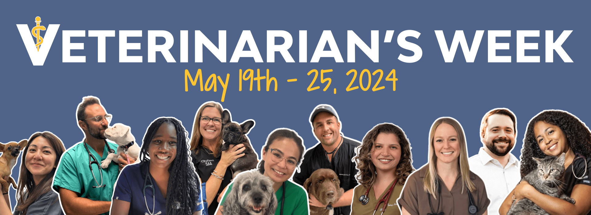 Introducing Veterinarian's Week | Encore Vet Group