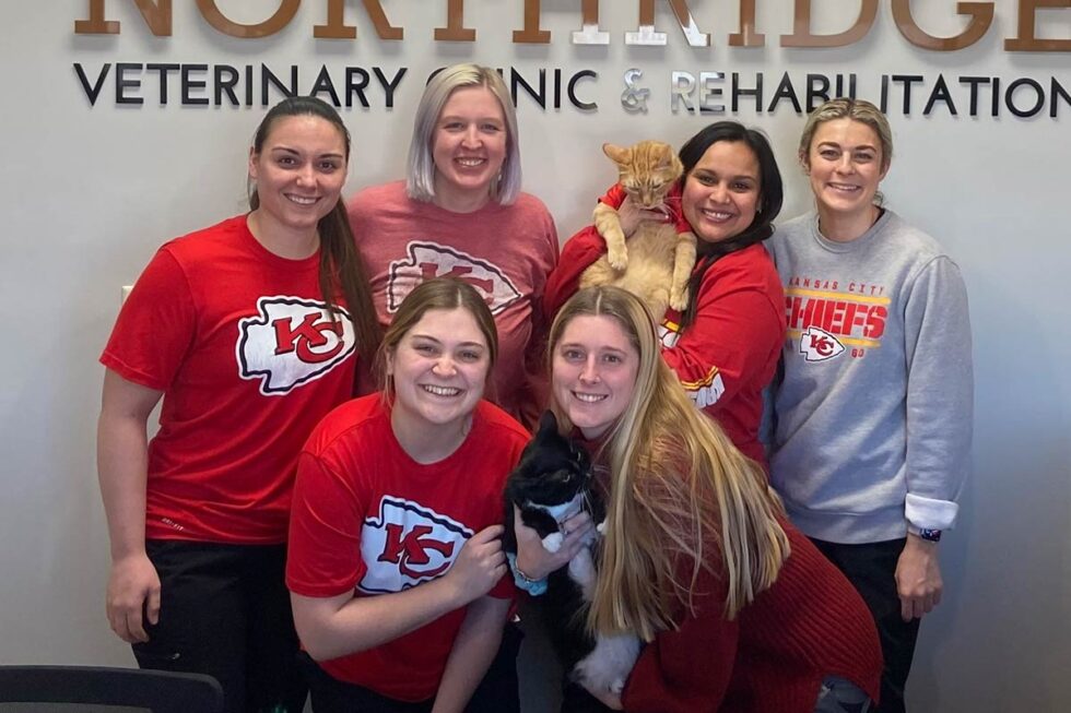 Explore Our Encore Vet Group Locations Near You | Encore Vet Group