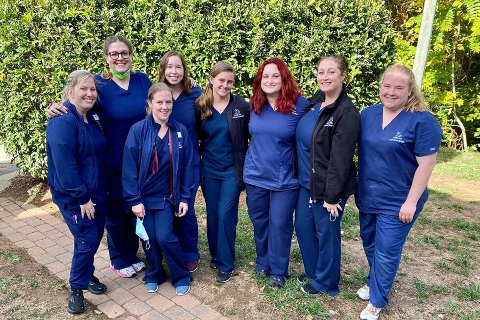 Explore Our Encore Vet Group Locations Near You | Encore Vet Group