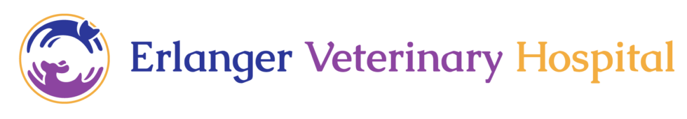 Explore Our Encore Vet Group Locations Near You | Encore Vet Group
