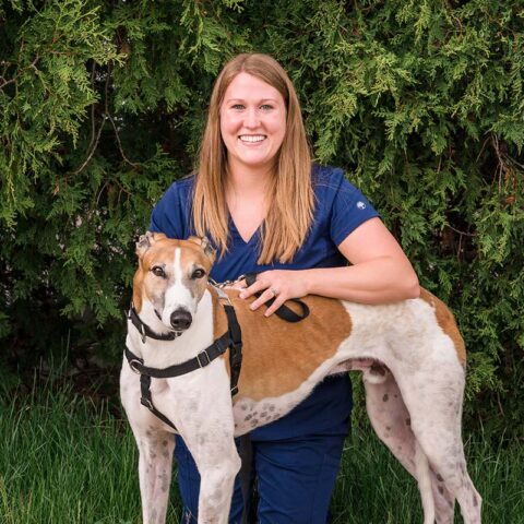 Explore Our Encore Vet Group Locations Near You | Encore Vet Group