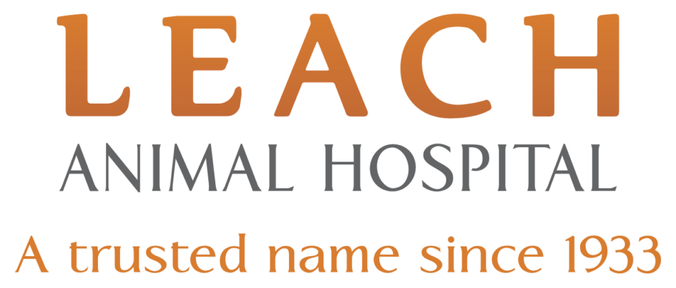 Explore Our Encore Vet Group Locations Near You | Encore Vet Group