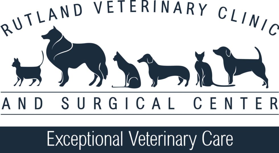 Explore Our Encore Vet Group Locations Near You | Encore Vet Group