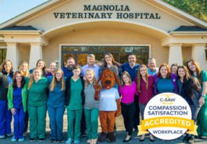 Veterinary Job Openings | Encore Vet Group