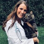 Vet Student Externships | Encore Vet Group