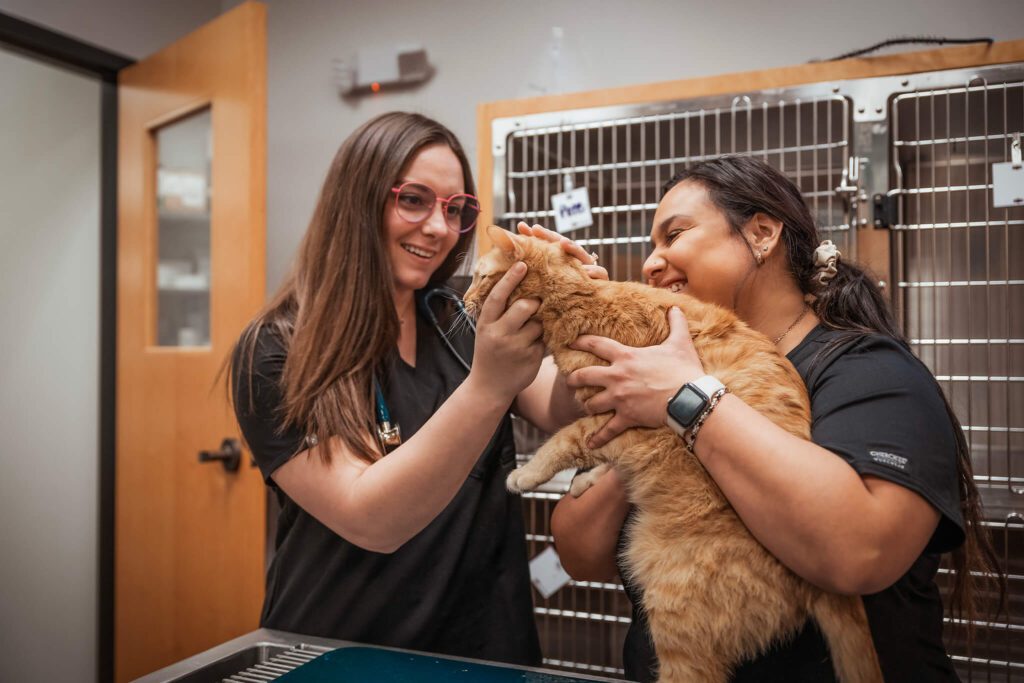 Veterinary Career Growth And Development | Encore Vet Group