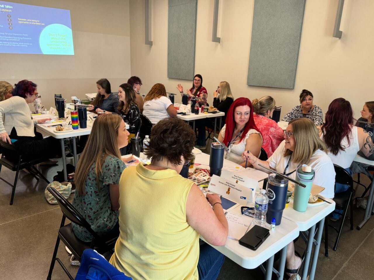 Education | Encore Vet Group