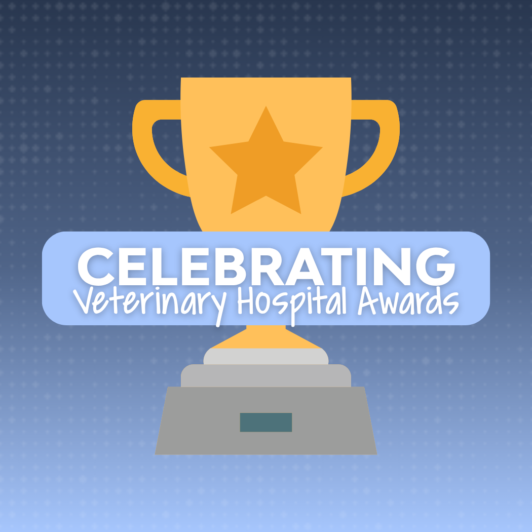 Celebrating Veterinary Hospital Awards: Encore Practices Shine Bright ...