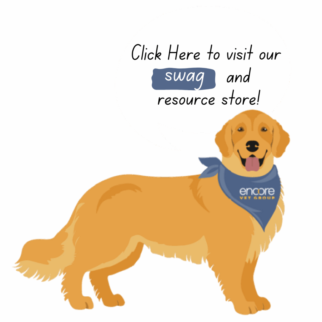 Veterinary Career Growth And Development | Encore Vet Group