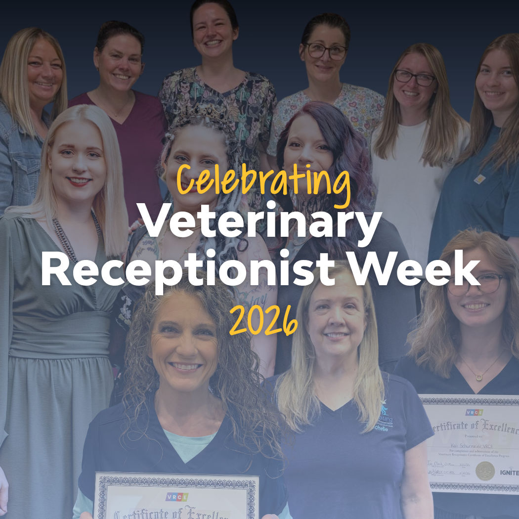 Celebrating Veterinary Receptionist Week 2026 | Encore Vet Group