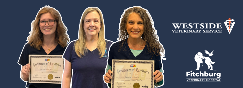 Celebrating Veterinary Receptionist Week 2026 | Encore Vet Group